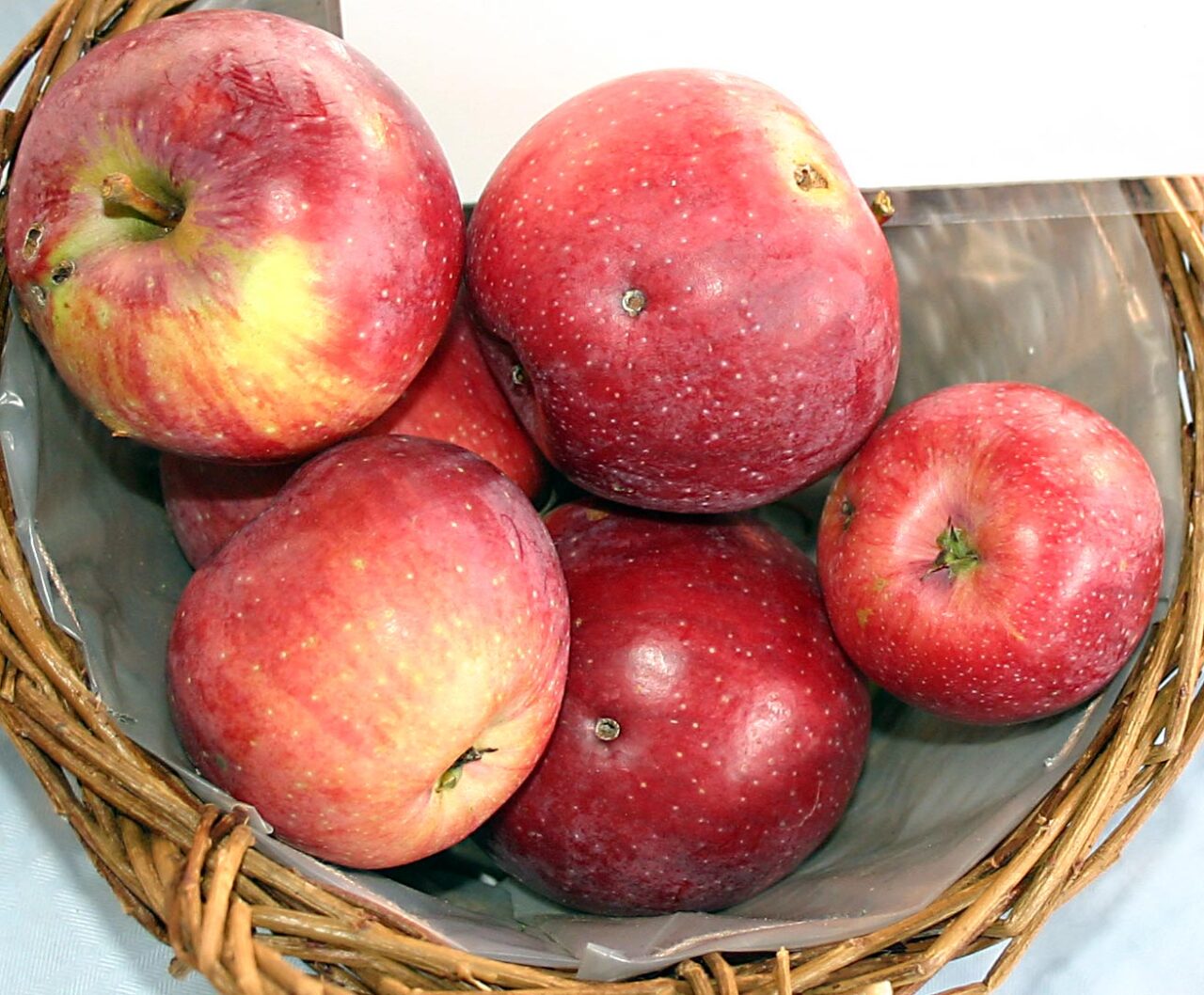 Berner Rose | LLA Lienz - Landwirtschaftliche Lehranstalt Lienz